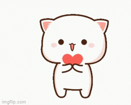 cute cat with heart - Imgflip