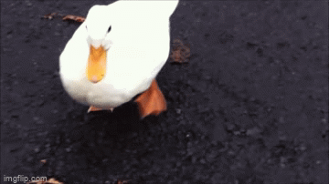 Tickle tickle - Imgflip