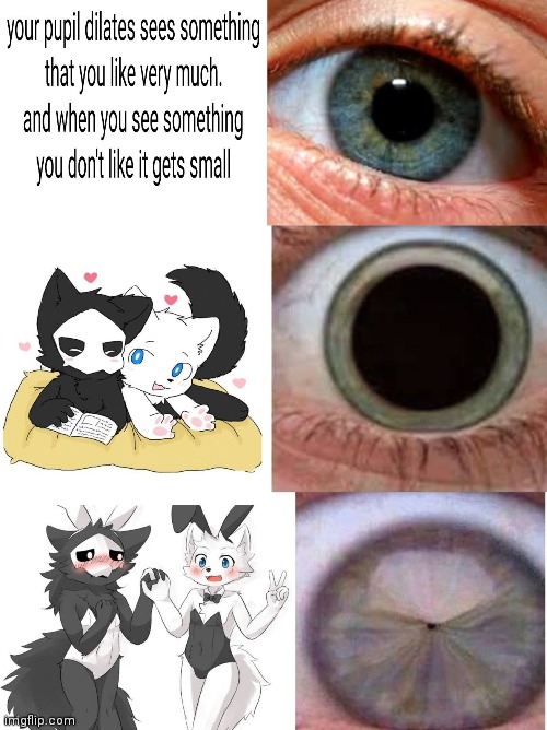 Probably the most suggestive meme i reposted - Imgflip