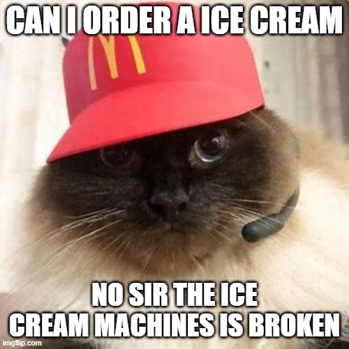 McMeow McDonald's Drive Thru Cat - Imgflip