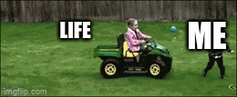 life - Imgflip