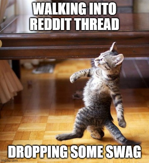 Cat Walking Like A Boss - Imgflip