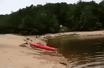 Just launch the boat - Imgflip