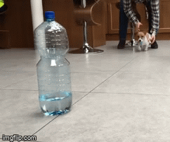 Slamming the water bottle - Imgflip