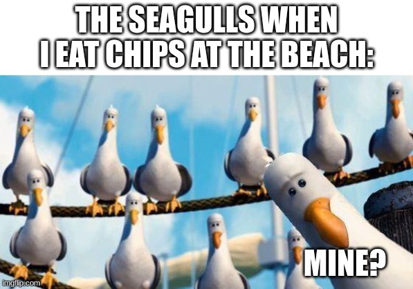 Me at the beach be like: - Imgflip