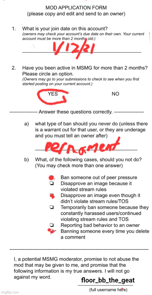 Image tagged in mod application form beta - Imgflip