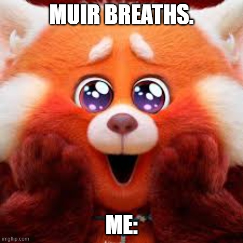 Red Panda cute eyes - Imgflip