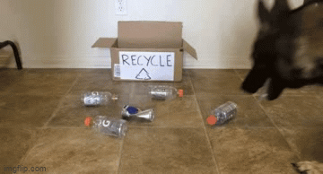 Recycling - Imgflip