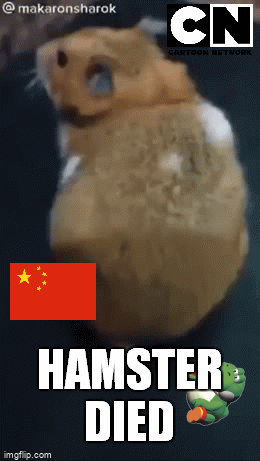 hamster died ...