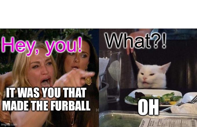 Woman Yelling At Cat Meme - Imgflip