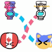 Countryballs bathroom and catballs bathroom - Imgflip