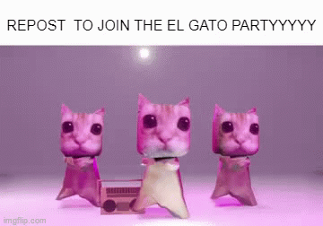 EL GATO PARTYYY - Imgflip