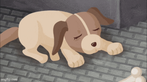Sad dog - Imgflip