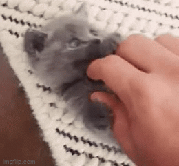 Tickle tickle - Imgflip