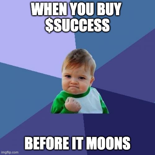 Success Kid Meme - Imgflip