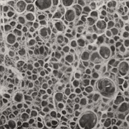 Closeup of the saliva - Imgflip