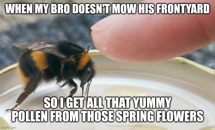 Bumblebro High Five - Imgflip