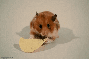Tortilla chip - Imgflip