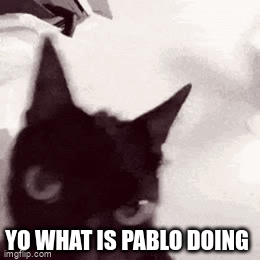Pablo - Imgflip