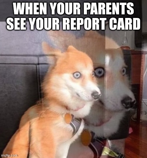 The Report Card Imgflip The Report Card Imgflip