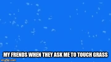 i havent touch grassed in 5 motuhs - Imgflip