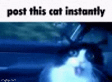 repost now - Imgflip