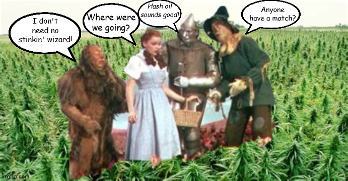 The Wizard of Weed - Imgflip