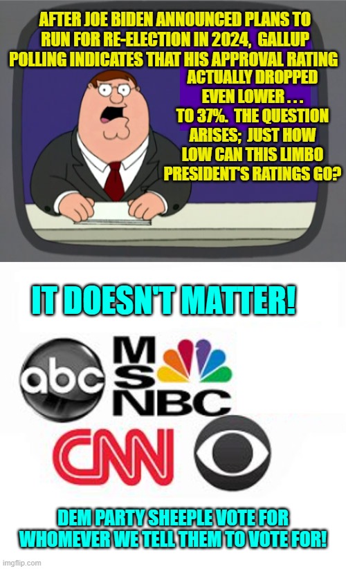 Yep . . . pretty much. - Imgflip