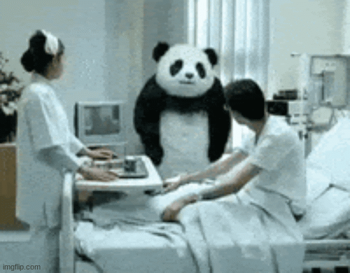 panda cheese - Imgflip