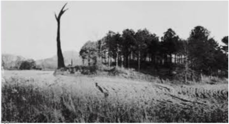 try to cut down this tree, i'll wait - Imgflip