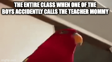 the whole class knows - Imgflip