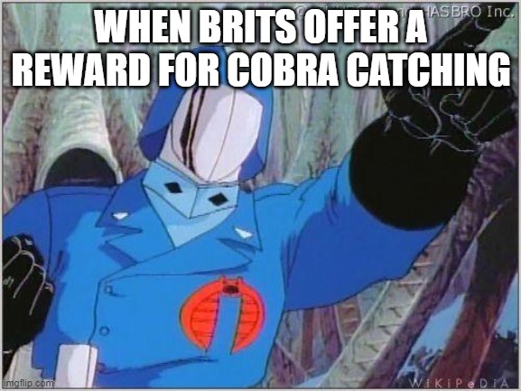 Numbers, Data and Statistics – The Cobra Effect of Goodhart’s Law