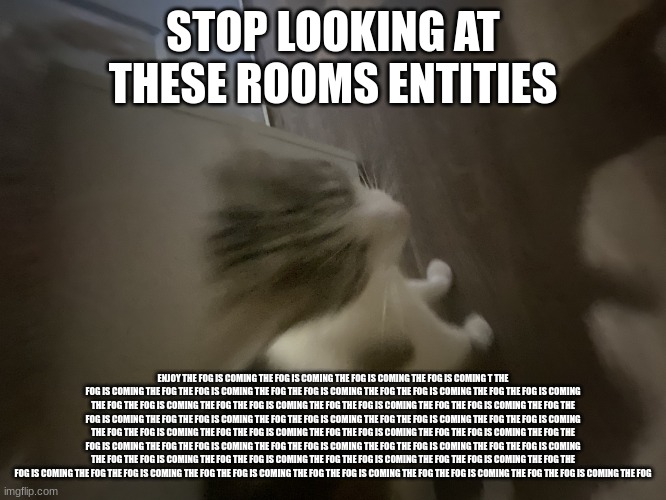 Fun fact: The X entities are the same entities as their original ...