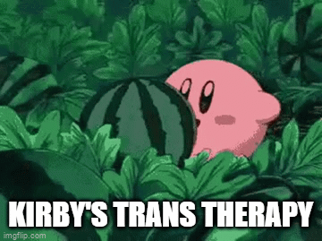 kirby's genital therapy for trans folks - Imgflip