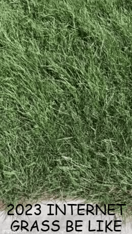 grass - Imgflip
