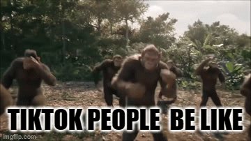 Dancing monkeys - Imgflip