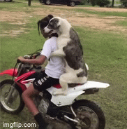 Go For a Ride - Imgflip