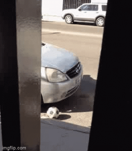 Soccer ball throwing fail - Imgflip