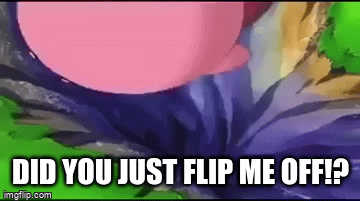 did-you-just-flip-me-off-imgflip