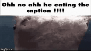 Animated GIF - Imgflip