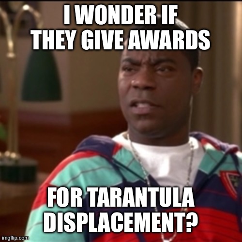 Image tagged in tracy jordan - Imgflip