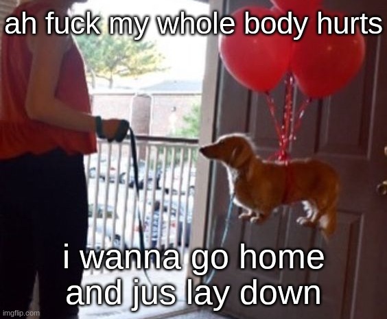 walkin me dog fr - Imgflip