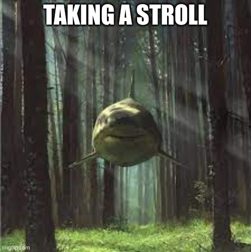 Image tagged in memes - Imgflip