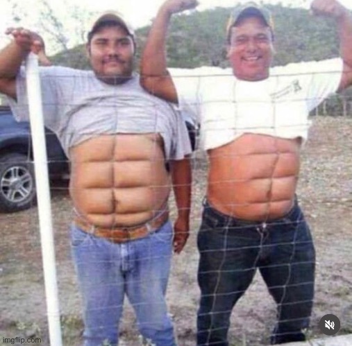 Abs in 2023 be like - Imgflip