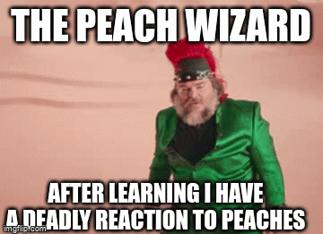 peach wizard - Imgflip