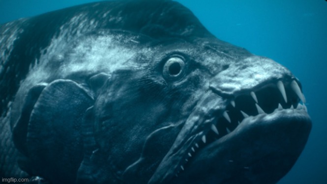 Evil Tuna.mp3 - Imgflip
