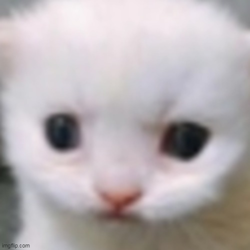 (Mod note: ?) - Imgflip