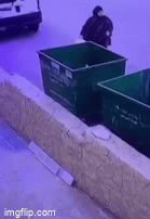 When Tossing Garbage Comes With a Surprise - Imgflip