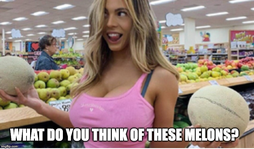 Image tagged in melons,shopping,boobs,nsfw - Imgflip