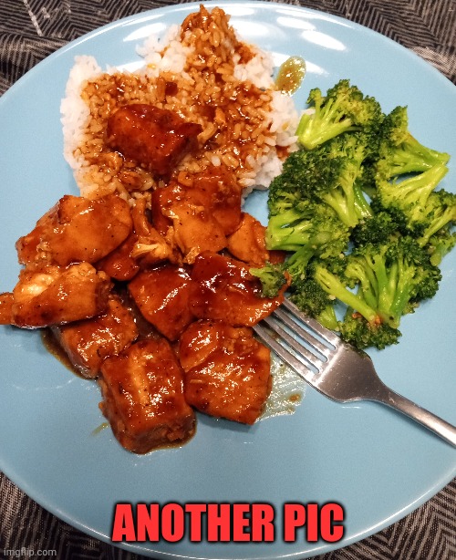 Teriyaki salmon and rice - Imgflip